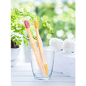NUDUKO Bamboo Kids Toothbrushes (6 Pack) - Soft Bristle Organic Compostable BPA Free Toothbrush for Kids Toddler Baby Tooth Brush, Eco Friendly Natural Biodegradable Wooden Toothbrush