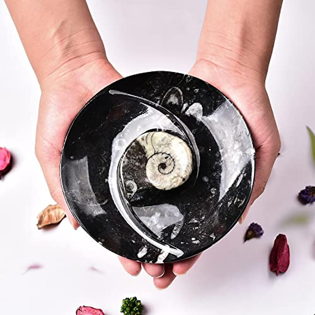 AMOYSTONE Morocco Fossil Bowls Natural Decorative Bowls Orthoceras Fossil Plate Round Stone Tray Unique Quartz Decorative Fossil for Collection, Jewelry Plate, Home Decor 5.5"