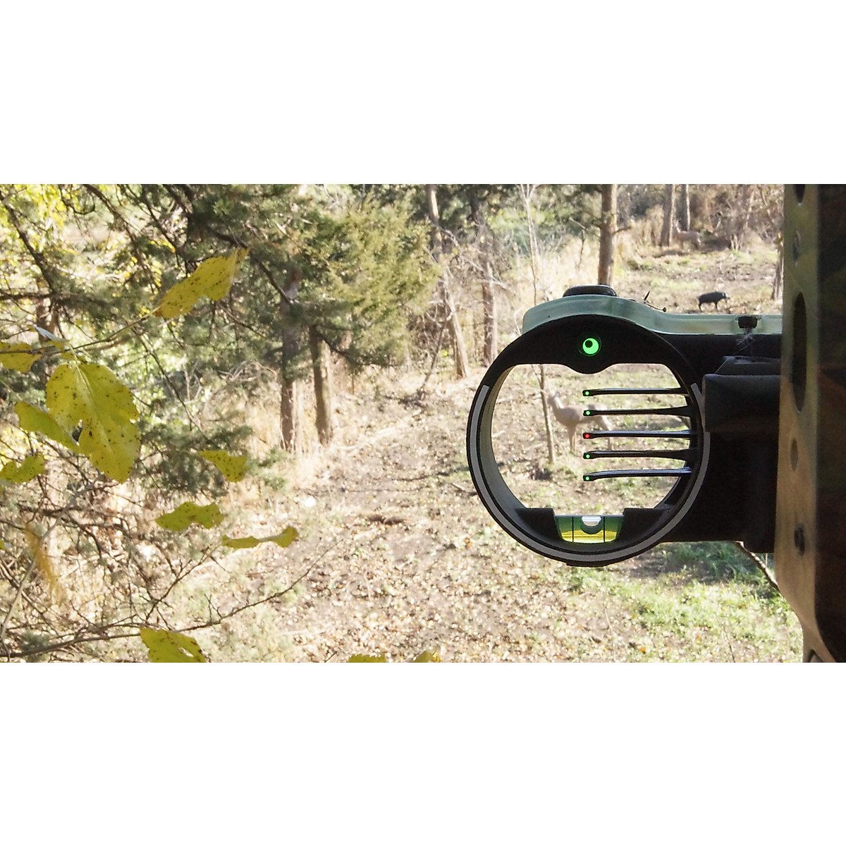 IQ Micro 5-Pin Right Hand Archery Bow Sight, Retina Lock Technology, All Aluminum, Multiple Bow and Quiver Mounting Points, Built-in Sight Level & Light Adapter.019 Pins