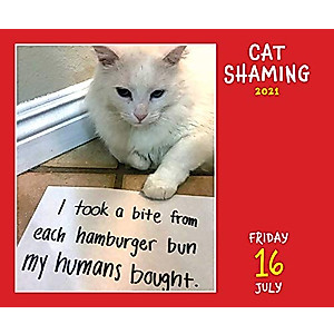 Cat Shaming 2021 Day-to-Day Calendar