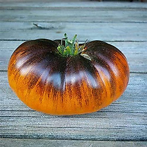 CHUXAY GARDEN Lucid Gem Tomato Seed 10 Seeds Blood Fruit Small Shrub Edible Cook Fruit Great Vegetable Gardening Gifts