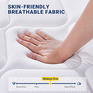 Avenco Queen 10 Inch Hybrid Mattress, Medium Plush, Pressure Relief, Motion Isolation, CertiPUR-US Certified