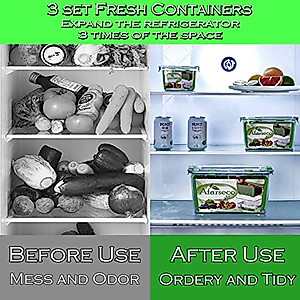 Fresh Produce Saver Containers with Herb Keeper and Air Vent Lids - Keep Fruits, Vegetables, Lettuce, Berries, and Salad Fresh in the Fridge - Removable Colander and Kitchen Organization Solutions