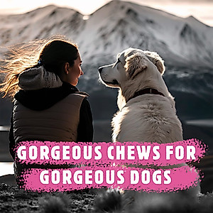 Premium Cow Tail Dog Chews from Grass-Fed Beef: High-Protein, All-Natural, Nutrient-Rich Treats for Dogs - Long Lasting Satisfaction with Dental Health Benefits - Perfect for Training and Rewarding