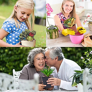 Luxsego Artificial Succulents - 19 Pack Fake Succulents Arrangement for DIY, Realistic Unpotted Faux Succulents Plants Decor for Home, Bathroom, Wedding, Garden, Office, Indoor and Outdoor