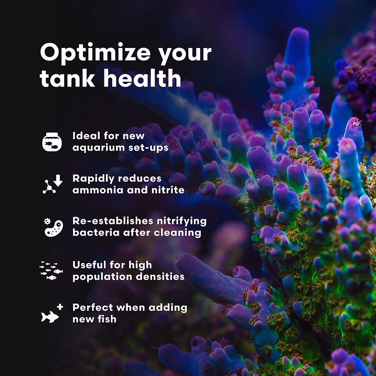 Brightwell Aquatics MicroBacter Start XLM - Concentrated Freshwater Nitrifying Bacteria - Quick Start Fish Tank Starter, Lift Microbe Levels & Water Filtering - Aquarium Water Treatments, 16.9 fl oz