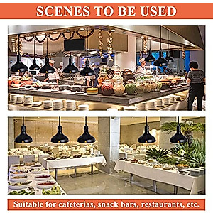 FXJ Food Heat Lamp, Catering Food Warmers Food Heating Lamp Telescopic Heat Lamp Infrared Food Warmer Lamp, Telescopic Length-60-180 Cm (Blue)