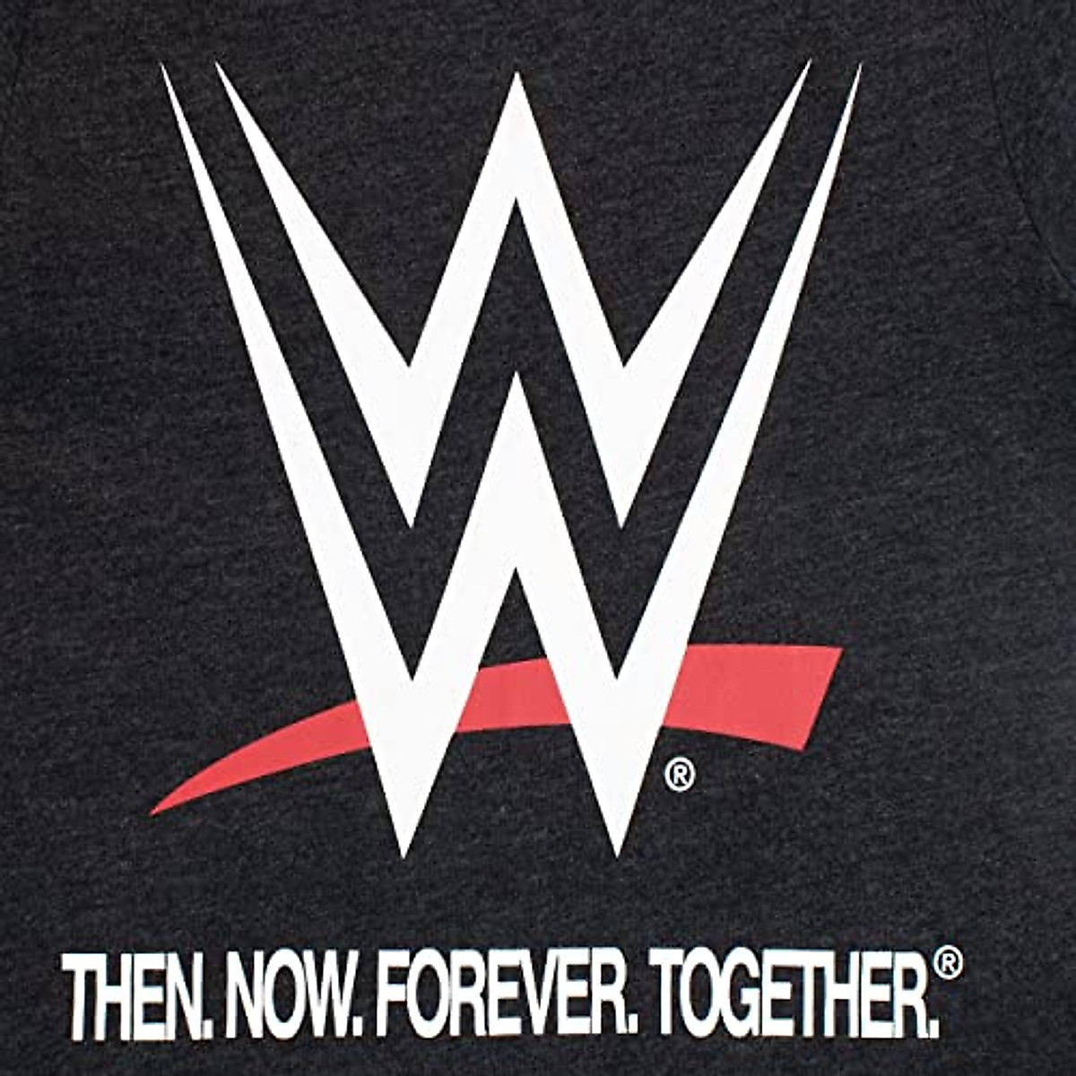 WWE Boys' World Wrestling Entertainment T-Shirt Black Size 4