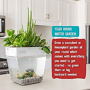 Back to the Roots Indoor Hydroponic Garden - 3 Gallon Self Watering, Mess-Free Planter for Herbs, Microgreens, Bamboo, Succulents, and Houseplants