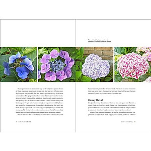 How Plants Work: The Science Behind the Amazing Things Plants Do (Science for Gardeners)