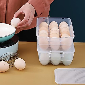 Saedy Plastic Egg Containers with Lid, 2 Pack Egg Holder Refrigerator Organizer Bin Tray