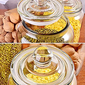 Glass Jars,Candy Jar with Lid For Household,Food Grade Clear Jars - 1/2 Gallon (3)