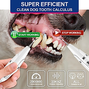 Ninieleph Teeth Cleaner for Dogs, Dog Teeth Cleaning, Dog Ultrasonic Tartar Remover, Keep Dog Teeth Health. (White)