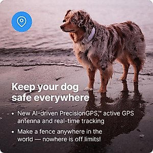 Halo Collar 3 - GPS Dog Fence - Multifunction Wireless Dog Fence & Training Collar with Real-Time Tracking & GPS - Waterproof, Instantly Create and Store Wireless Fences (Medium/Large, Ivory)