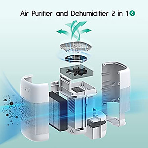 Air Purifier and Dehumidifier in 1, Afloia Q10 True HEPA Air Purifier with H13 HEPA Filter, Small Dehumidifier Combined with Air Cleaner, Remove Pet Odors Dust Smoke for Home, Bedroom, Bathroom