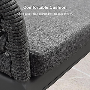 PURPLE LEAF 2 Pieces Outdoor Patio Dining Chairs All-Weather PE Rattan Patio Furniture with All Aluminum Frame for Lawn Garden Backyard Deck, Grey