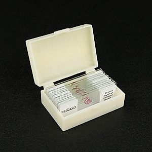Prepared Epithelium Types Microscope Slides Set, Excellent 11pcs Specimens Representing The Major Types of Epithelium