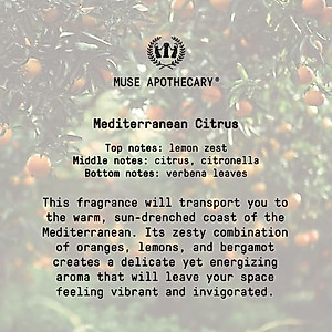 Muse Apothecary Home Ritual Active Odor Eliminator Spray - Furniture Deodorizer & Bathroom Odor Eliminator - Essential Oil Air Freshener - 4oz, Mediterranean Citrus