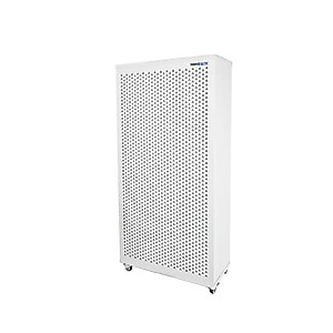 Smart Health Blast (HEPA + Carbon) Air Purifier (Blast with HEPA and Carbon (VOC) Filters)