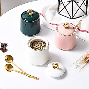 LIONWEI LIONWELI White Sugar Bowl Dispenser Salt Container Ceramic Sugar Bowl with Lid and Spoon for Home and Kitchen