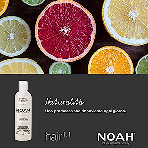 Noah Hair 1.1 Volumizing Shampoo - Organic Shampoo – Best Volumizing Shampoo - With Essential Oils and Hydrolysed Wheat Protein – Hair Products for Natural Beauty - 8.5 fl.oz (250 ml)