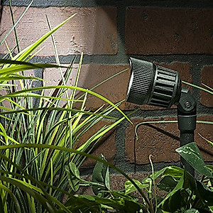 Sterno Home Paradise Low Voltage LED Micro Spot Light,Adjustable, Black