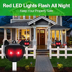 Coyote Deterrent, Solar Nocturnal Animal Repeller Predator Light Scare, Repellent Device for Coyote,Deer,Raccoon for Chicken Coop,Farm,Yard(2 Packs)