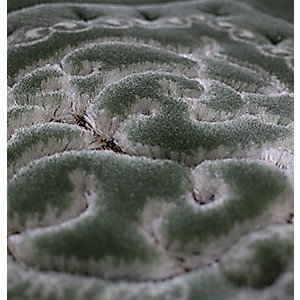 Modefa Turkish Islamic Prayer Rug - Comfortable Muslim Praying Mat for Men & Women - Soft Velvet Janamaz Praying Carpet - Ramadan or Eid Gift - with Kufi Prayer Cap - Lux Plush Regal (Light Green)