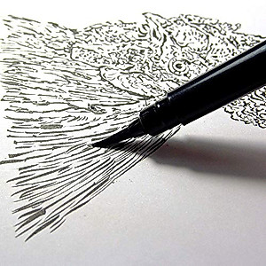 Pentel Arts Pocket Brush Pen, Includes 2 Black Ink Refills (GFKP3BPA)