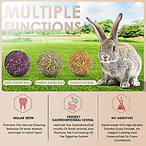 Bissap Bunny Chew Toys 15PCS, 100% Natural Flowers Flavored Timothy Hay Balls Rabbit Chew Treats for Hamster Guinea Pigs Rats Chinchillas Gerbils and Other Small Animals Teeth Care