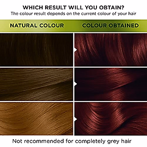 Garnier Nutrisse Ultra Color 2.6 Dark Cherry Red Permanent Hair Color