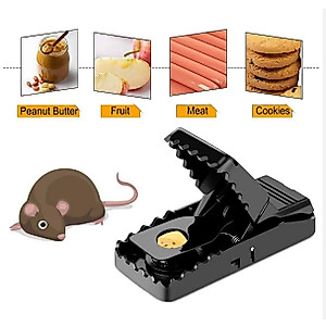 MATROTEL 6 Pack Rat Traps - Indoor/Outdoor Quick Effective Reusable Rat Snap Traps for Small to Large Rats, Instantly Kills with Powerful Steel Spring-Loaded Snap Trap