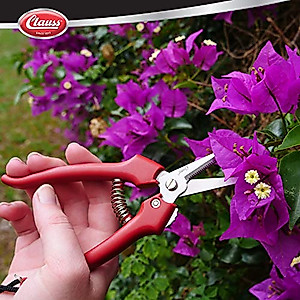 Clauss 33403 6-inch Stainless Steel Floral Lanyard 6" Cutter