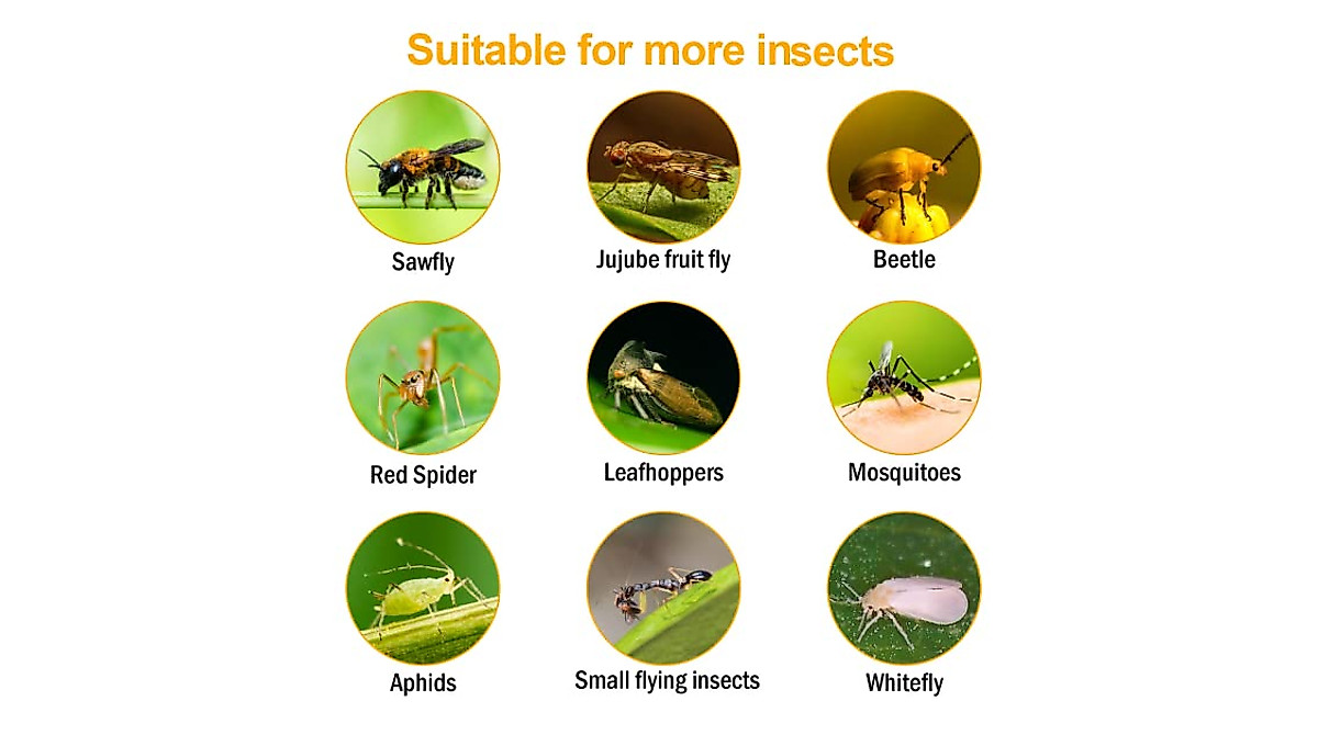 Dwcom 20PCS Sticky Fly Strips - Indoor & Outdoor Control