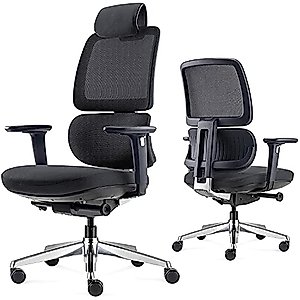ALFA Furnishing Ergonomic Office Chair, Rolling Desk Chair with Adjustable Lumbar Support, 3D Armrest, Blade Wheels, Mesh Computer Chair with Sliding Seat, Gaming Chairs, Executive Swivel Chair