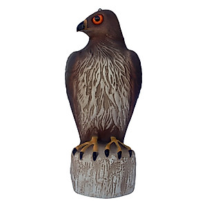 Bird B Gone Plastic Hawk Decoy to Scare Birds Away, Bird Deterrent Devices Outdoor, 16 Inch Fake Hawk Statue, Natural Bird Scarecrow for Garden