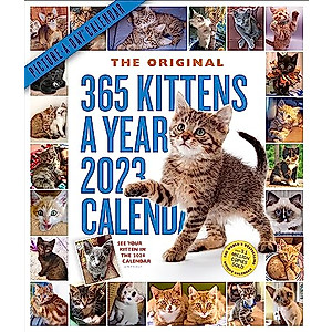 365 Kittens-A-Year Picture-A-Day Wall Calendar 2023: Absolutely Spilling Over With Kittens