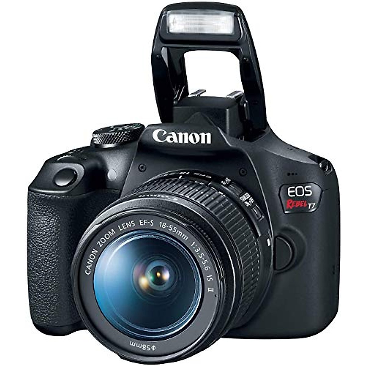 Canon EOS Rebel T7 DSLR Camera with 18-55mm Lens | Built-in Wi-Fi|24.1 MP CMOS Sensor | |DIGIC 4+ Image Processor and Full HD Videos - Expo Basic Accessories Bundle (Renewed)