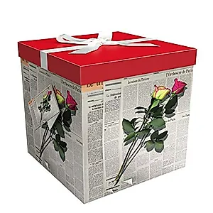 Gift Box 10"X10"X10" - Les Roses Collection - Easy to Assemble & Reusable - No Glue Required - Ribbon, Tissue Paper, and Gift Tag Included - EZ Gift Box by Endless Art US