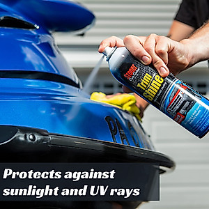 Stoner Car Care 91034 12-Ounce Trim Shine Protectant Aerosol Restores Dull or Faded Interior and Exterior Plastic Renew Bumpers, Running Boards, and More, Pack of 1