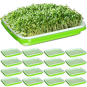 Eaasty 16 Pcs Seed Sprouter Tray with Drain Holes Seed Germination Propagation Trays Healthy Wheatgrass Microgreens Growing Trays Beans Nursery Sprouting Tray(12.2 x 9.06 x 1.77 Inch, Without Lid)