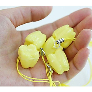 10PCS Plastic Baby Tooth Keepsake Box Baby Milk Tooth Storage Case Holder Organizer Save Container Lost Teeth Saver Deciduous Souvenir with Necklace Gift for Kids Color Random