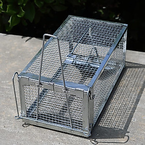 AOK Home Live Humane Cage Trap for Squirrel Mouse Rat Mice Rodent Animal Catcher for Indoor and Outdoor Small Animal 11x5.5x4.5 inch