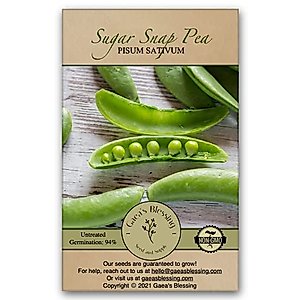 Gaea's Blessing Seeds - Sugar Snap Pea Seeds - Non-GMO Seeds for Planting with Easy to Follow Instructions 94% Germination Rate (Pack of 1)