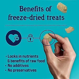 Stewart Freeze Dried Dog Treats, Healthy Gut Chicken & Vegetable, Gut Health Probiotics, Grain Free, 8 Ounce Resealable Pouch, Made in USA