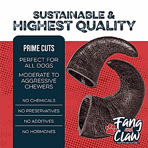 Water Buffalo Horn Dog Chew 4 Pack - Small 4" - All Natural Free Range Grass Fed Single Source Protein - No Chemicals, Additives, Hormones - Long Lasting, Good for Aggressive Chewers
