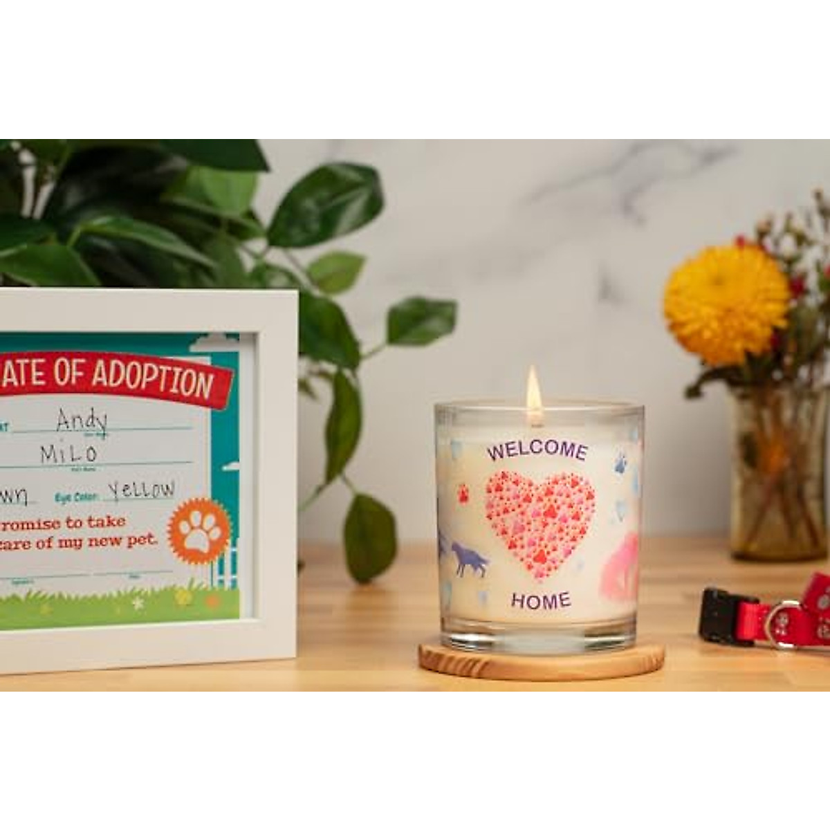 One Fur All Welcome Home Candle - Pet-Friendly Candle - Gifts for Pet Parents - Pet Odor Eliminator Candle - Non-Toxic Scented Candles, Gotcha Day Dog Gift