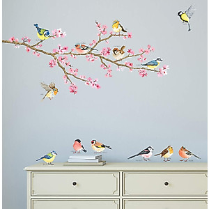 DECOWALL DWL-1904 Cherry Blossom Garden Birds Kids Wall Stickers Wall Decals Peel and Stick Removable Wall Stickers for Kids Nursery Bedroom Living Room d?cor