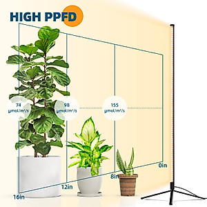 Barrina Grow Lights for Indoor Plants with Stand, 42W 169 LEDs Full Spectrum Wide Illumination Area, T10 Vertical Standing Plant Grow Light, 4FT Height with On/Off Switch and Tripod Floor Stand