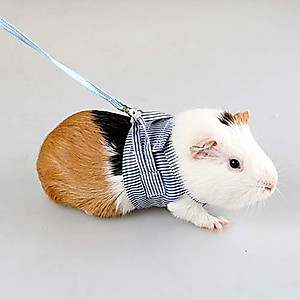 POPETPOP Ferret Harness - Small Animals Outdoor Walking Vest Harness with Lead Leash Set Rabbit Hedgehog Ferret Guinea Pigs Piggies Squirrel Kitten Puppy Comfort Clothes - Blue Small